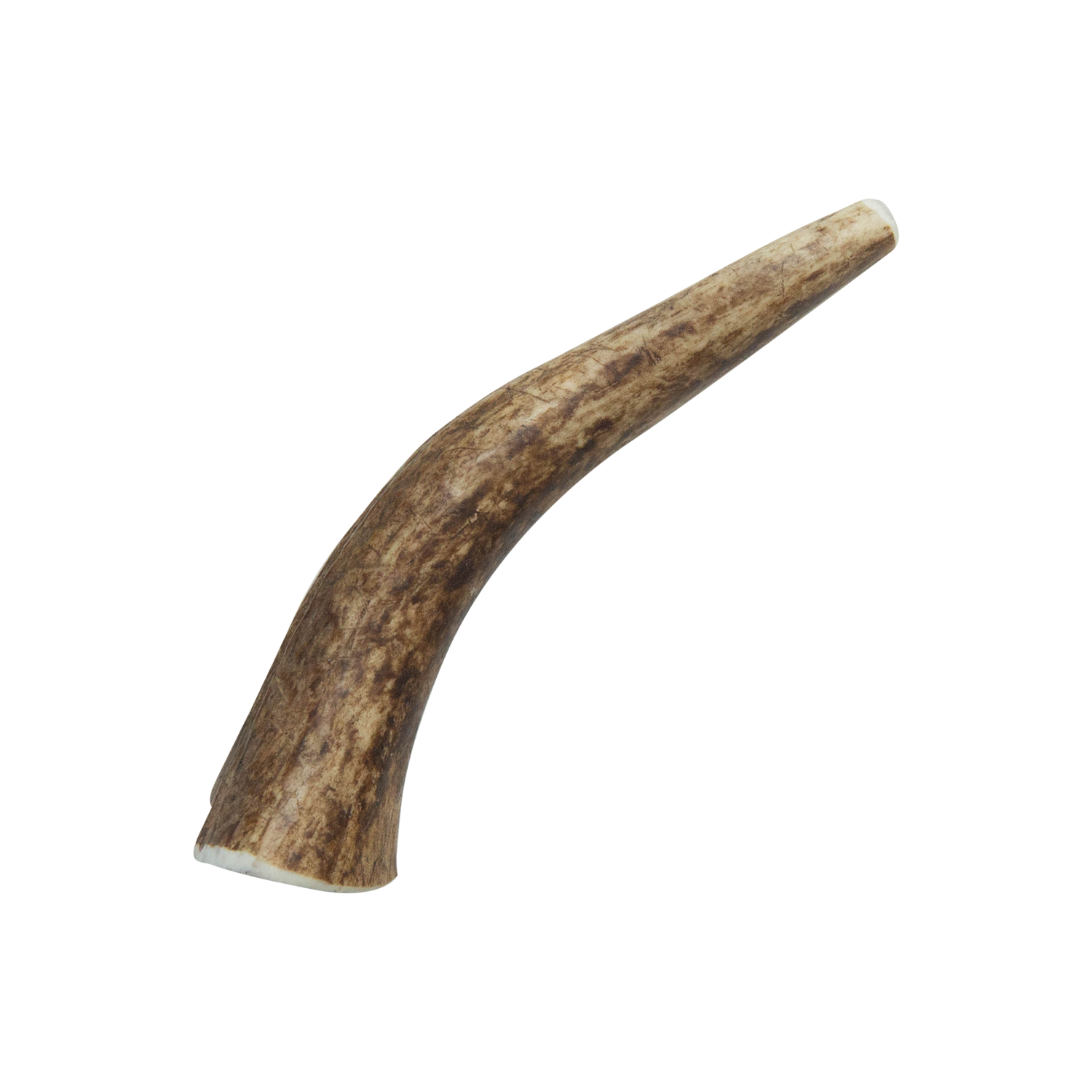 Health Extension Pet Care - Natural Elk Antlers - Whole/Sliced: Medium ...